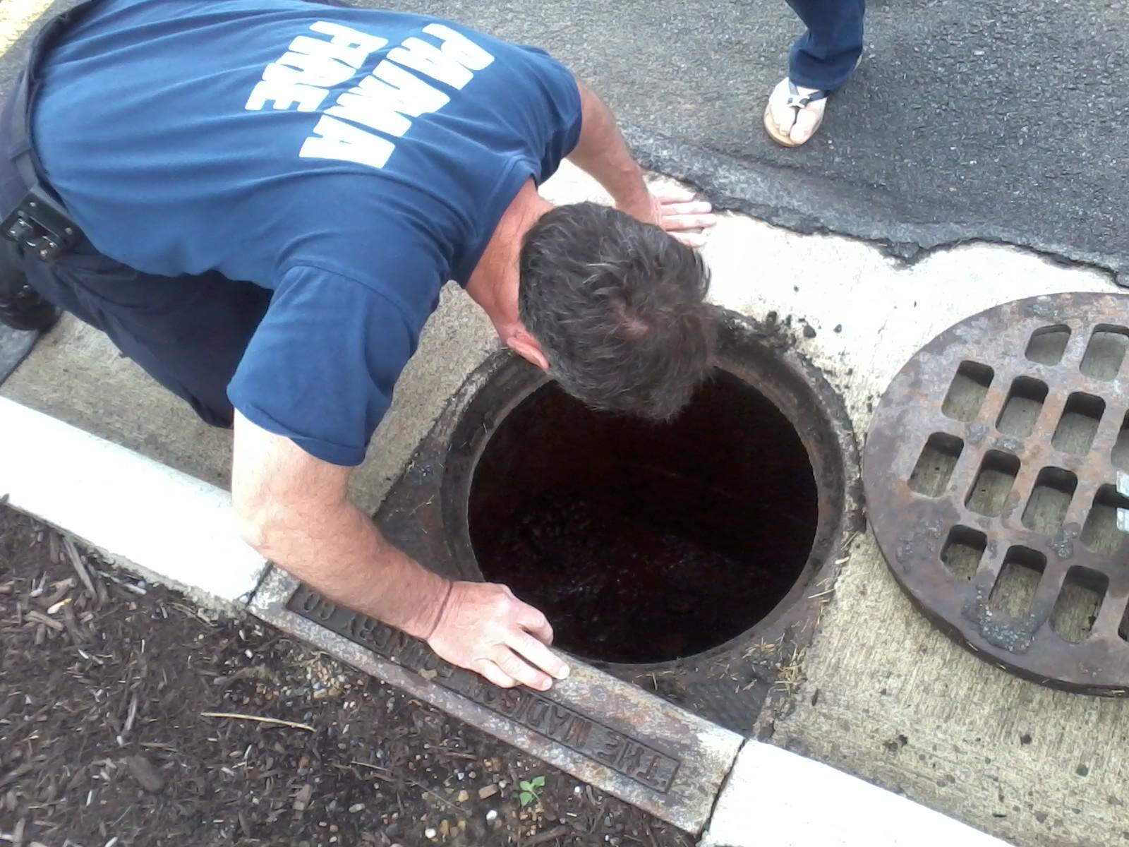 Firefighter rescues goslings from sewer | wkyc.com