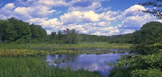 Geauga County ranks top 10 happiest places in U.S. | wkyc.com