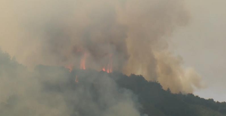 Official: Illegal campfire sparked deadly Big Sur wildfire | wkyc.com