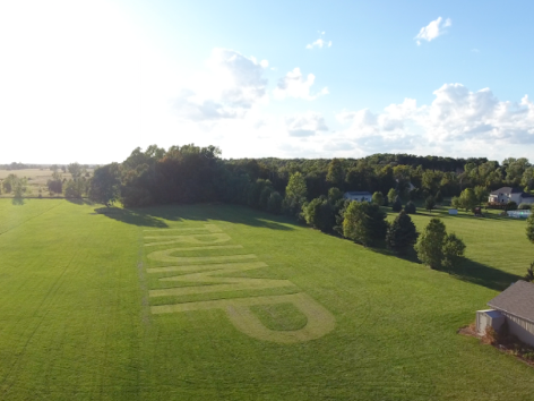 Michigan Donald Trump supporter mows massive sign on lawn | wkyc.com