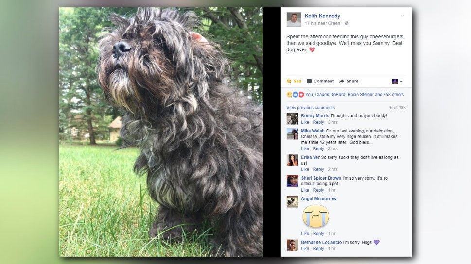 WKDD's Keith Kennedy gets outpouring of support after dog's passing ...