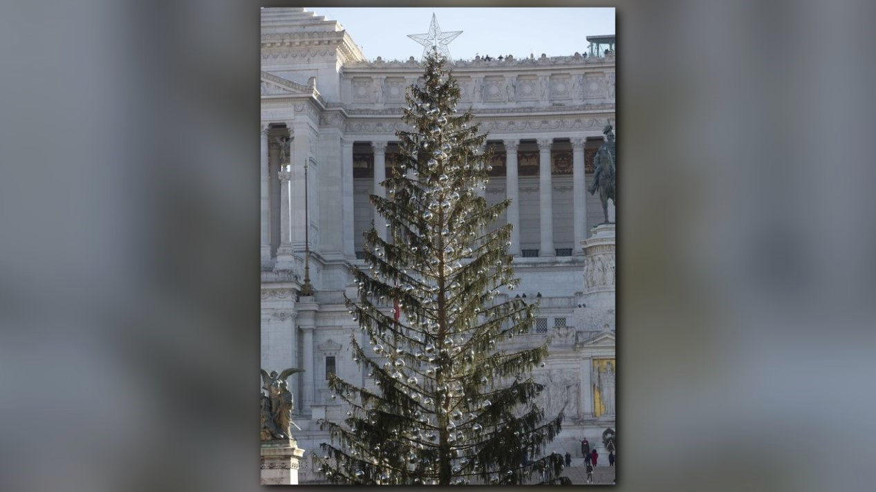 Rome's sickly Christmas tree causes uproar | wkyc.com